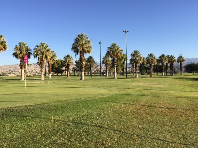 Gallery - Indio Municipal Golf Course