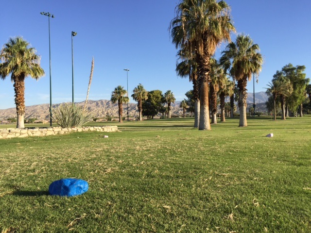 Gallery - Indio Municipal Golf Course