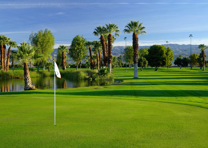 Gallery - Indio Municipal Golf Course